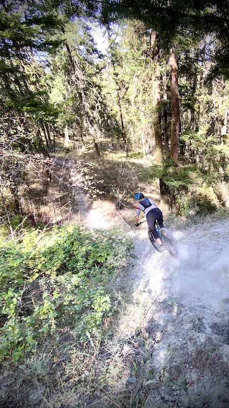 PINEVIEW OPEN TRAIL ROUTE Mountain Biking Route | Trailforks