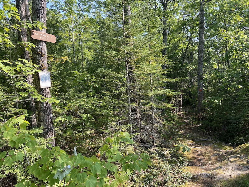 Newman Hill Climb Mountain Biking Trail - Orono, Maine