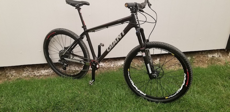 Giant carbon hardtail For Sale