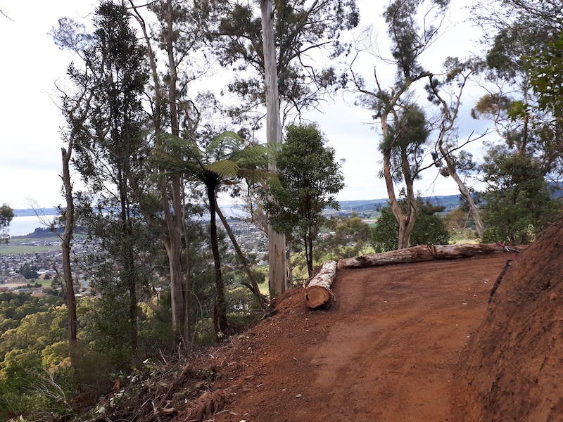 Forest Loop, Tūhua (Part 3) Mountain Biking Trail - Rotorua