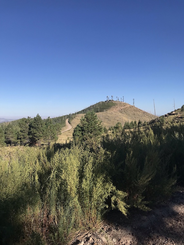 Mount Elden Lookout Road Mountain Biking Route | Trailforks