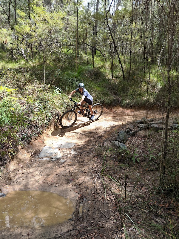Ferny Forest Loop Mountain Biking Trail - Mooloolah
