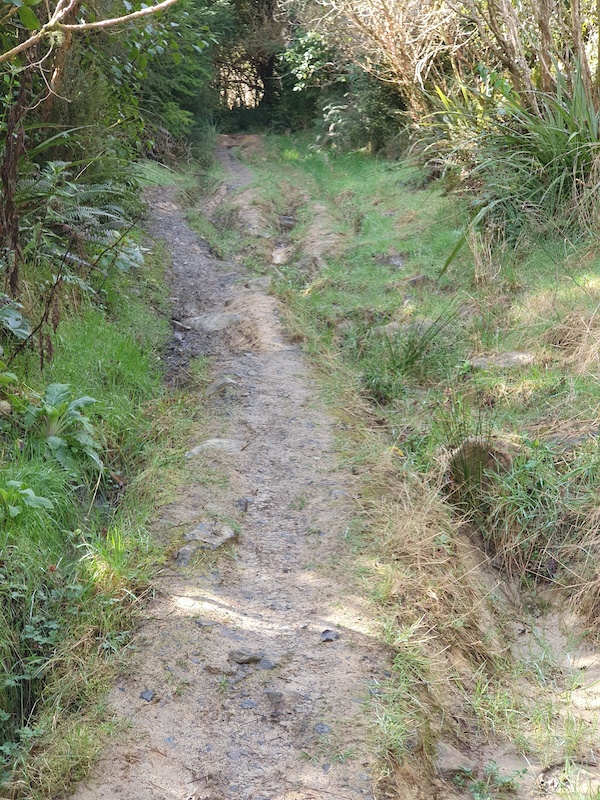 Burma Road Multi Trail - Whare Flat, Dunedin
