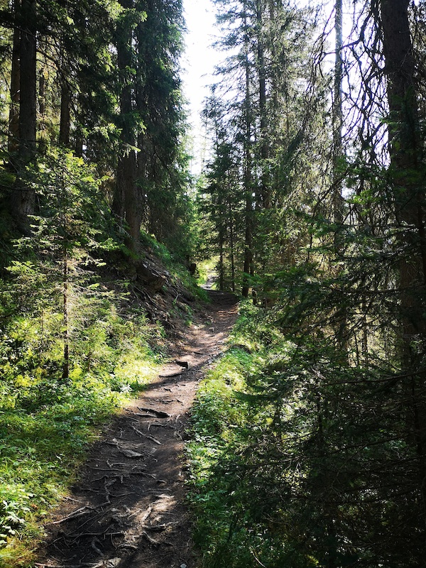 Val Sinestra I Multi Trail - Scuol | Trailforks