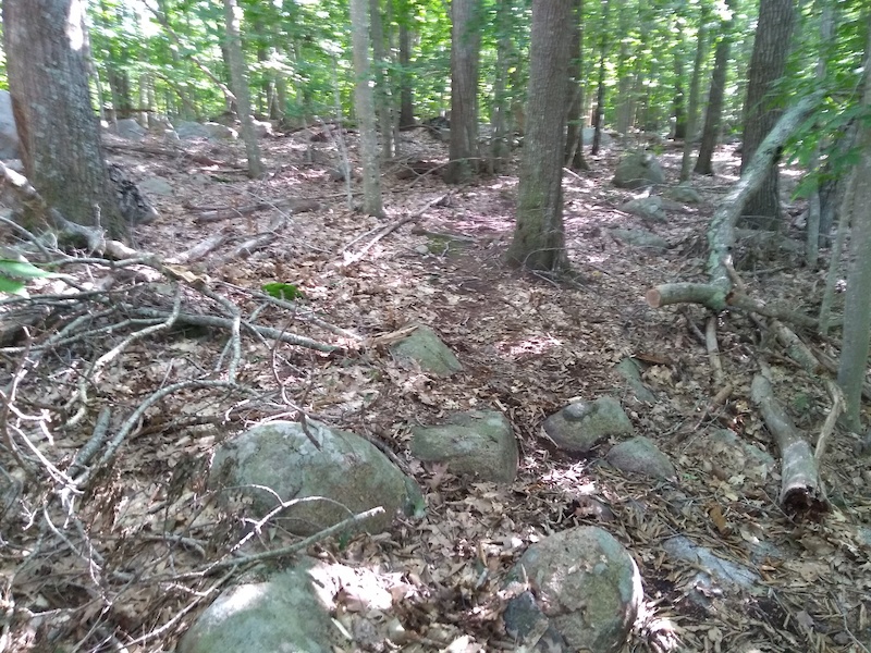 Burnt Goose Multi Trail - Gloucester, Massachusetts
