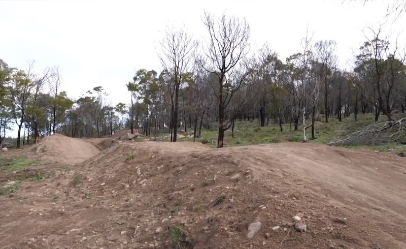 Evolution Jump Trail Mountain Biking Trail - Canberra