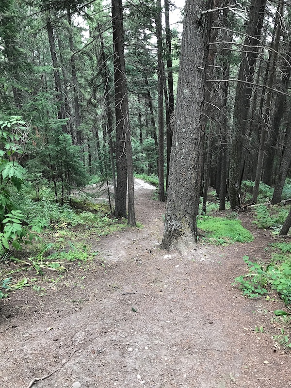 Valley Ridge, Calgary Mountain Biking Trails | Trailforks