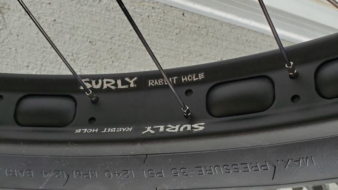 Surly Rabbit Hole 29 For Sale