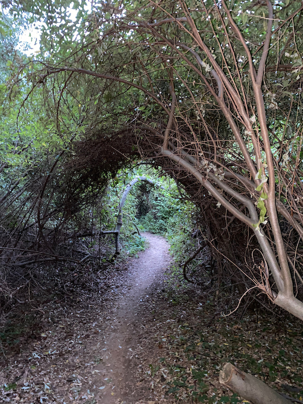 Trail View State Park South Mountain Biking Trails | Trailforks