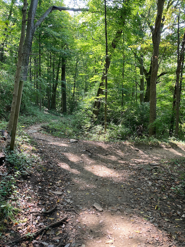 Goat Path Multi Trail - Covington, Kentucky | Trailforks