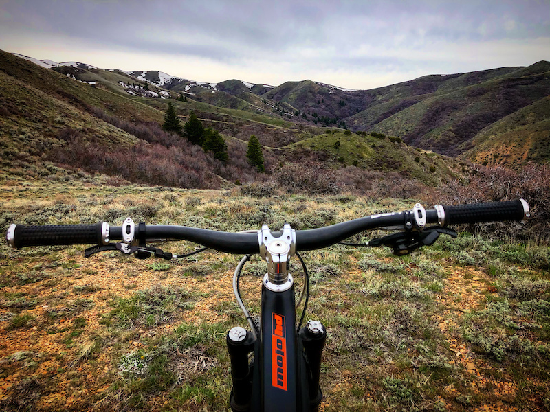 2019 Ibis HD4 Custom Hope Build with Carbon Wheelset For Sale