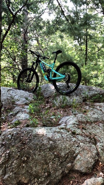 Playridge Mountain Biking Trail - Norfolk, Massachusetts