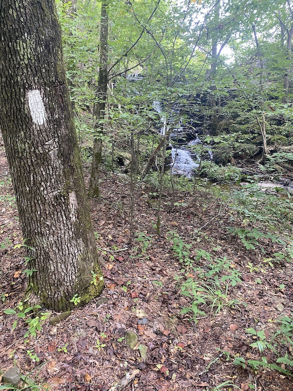 Pinhoti Trail (Alabama) - GPS Map | Trailforks