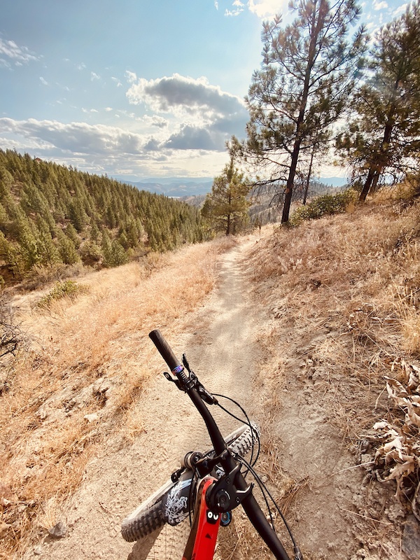 Beginner Loop at Echo Ridge Mountain Biking Route | Trailforks