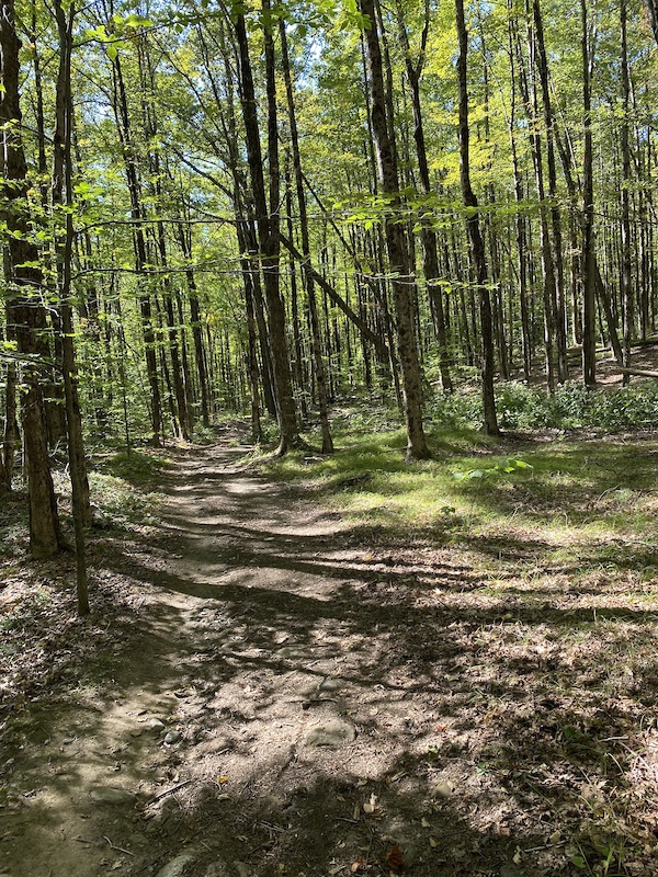 Pinnacle Ridge Trail Loop Multi Trail - Westminster