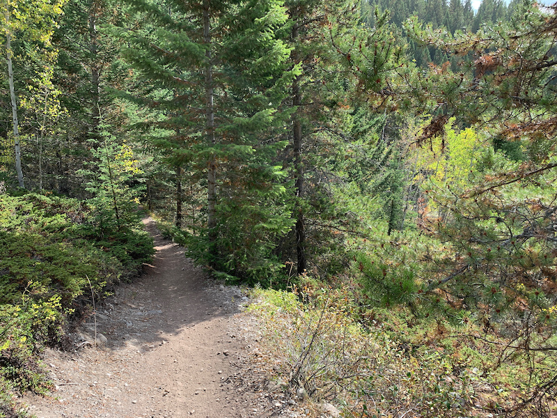 Horse Meadows Connector/G8 Access Multi Trail - Canmore