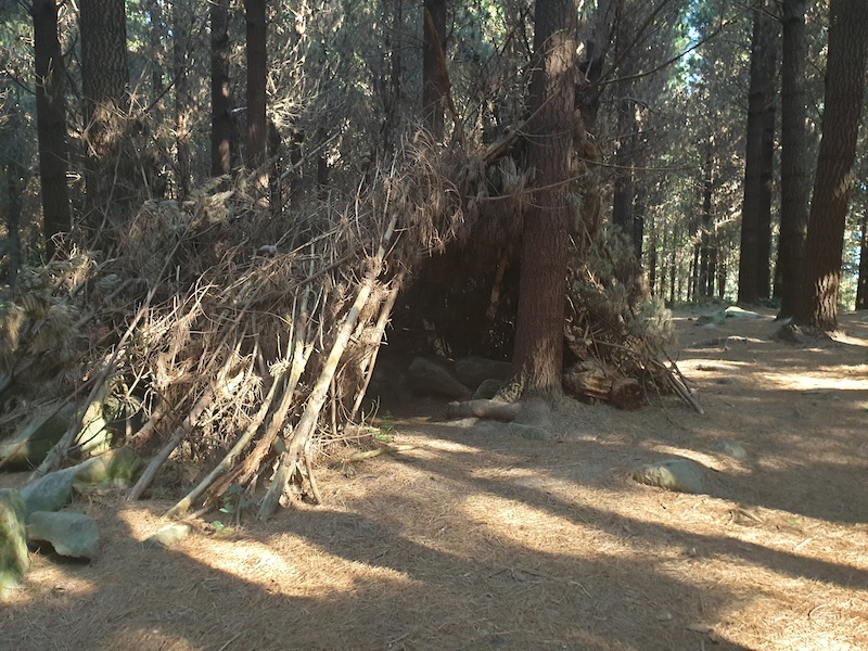 First Little Pig Mountain Biking Trail - Dunedin