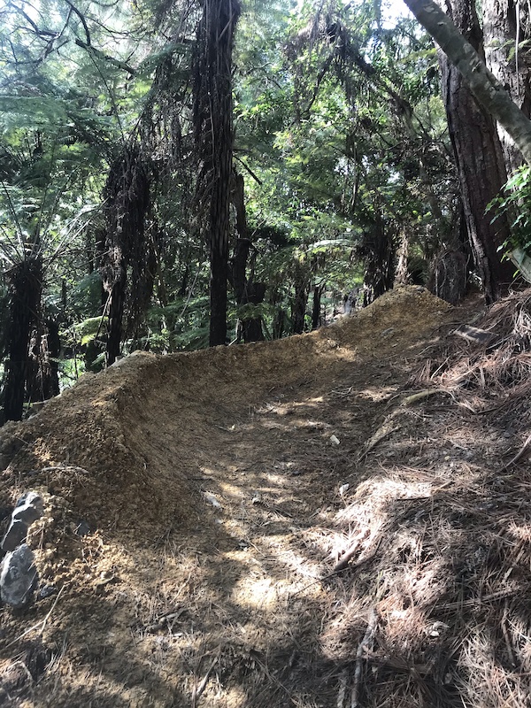 Foot Fetish Mountain Biking Trail - Whangarei