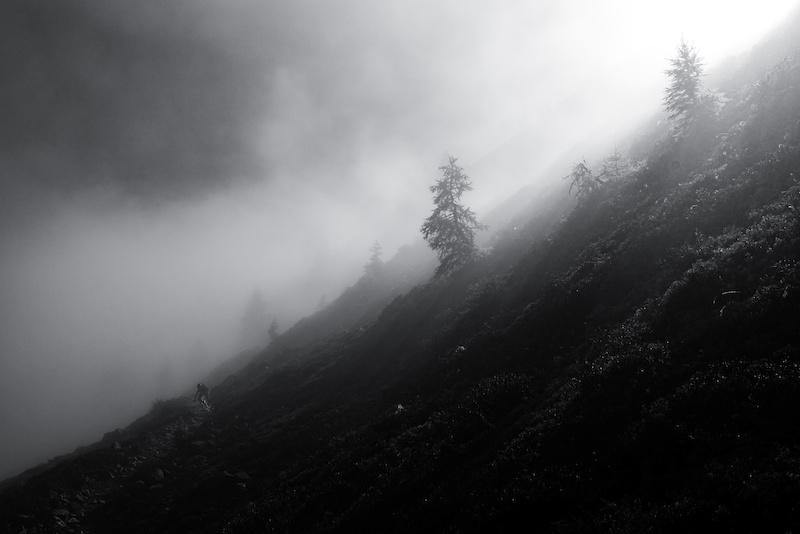 Crête de Bruson Multi Trail - Bruson, Verbier