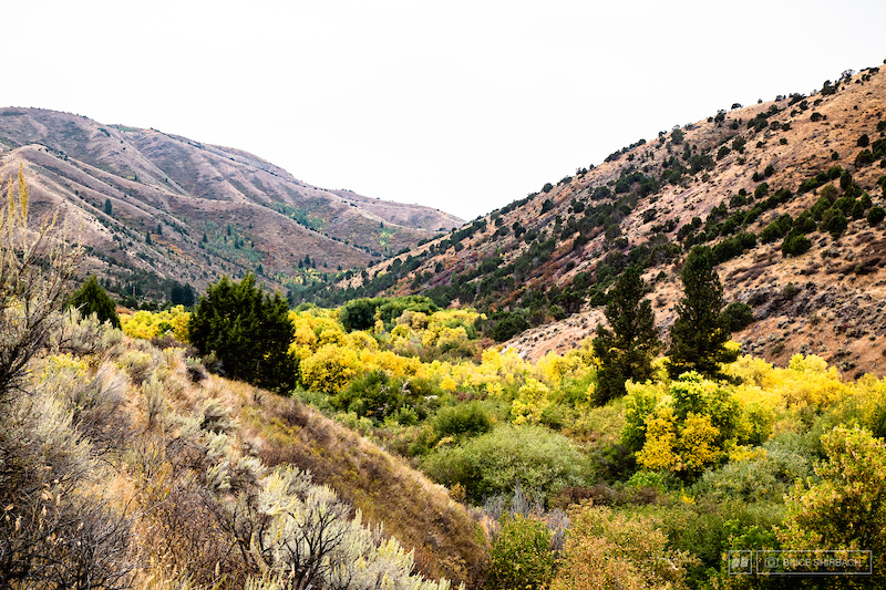 in Pocatello, Idaho, United States - photo by briceshirbach - Pinkbike