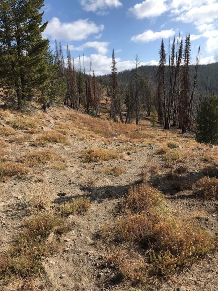 Sep 20, 2020 Castle - Alder Creek Trail Report | Trailforks