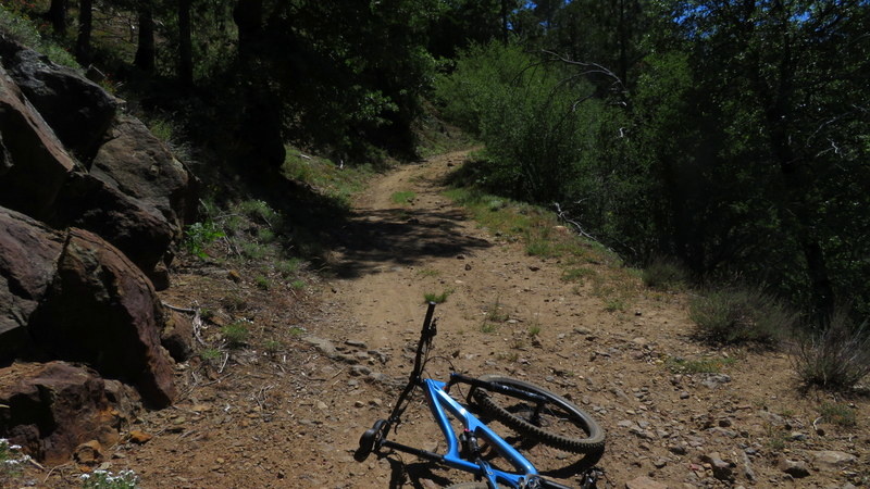 Escondido Ravine Road Multi Trail - Mount Laguna, CA