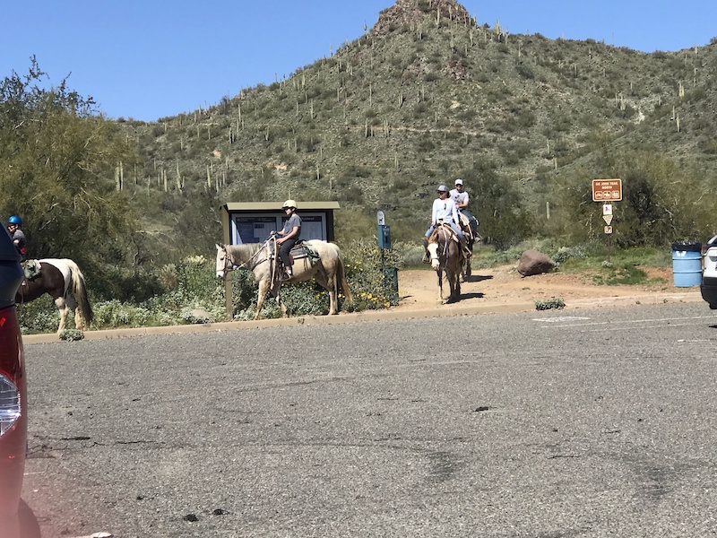 Clay Mine Multi Trail - Cave Creek, Arizona | Trailforks