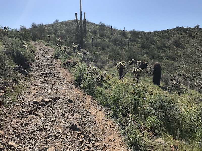 C4 2024 Route Mountain Biking Route | Trailforks