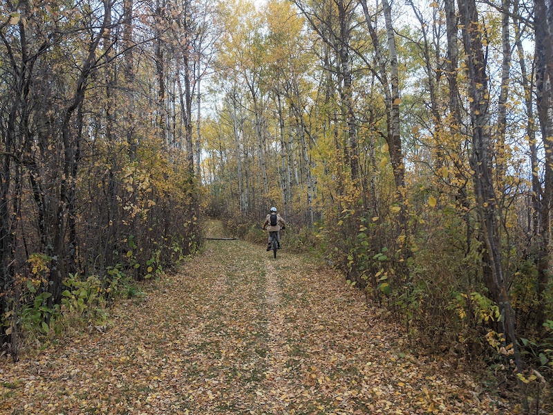 Push Lake Skiing Trail - Tofield, Alberta | Trailforks