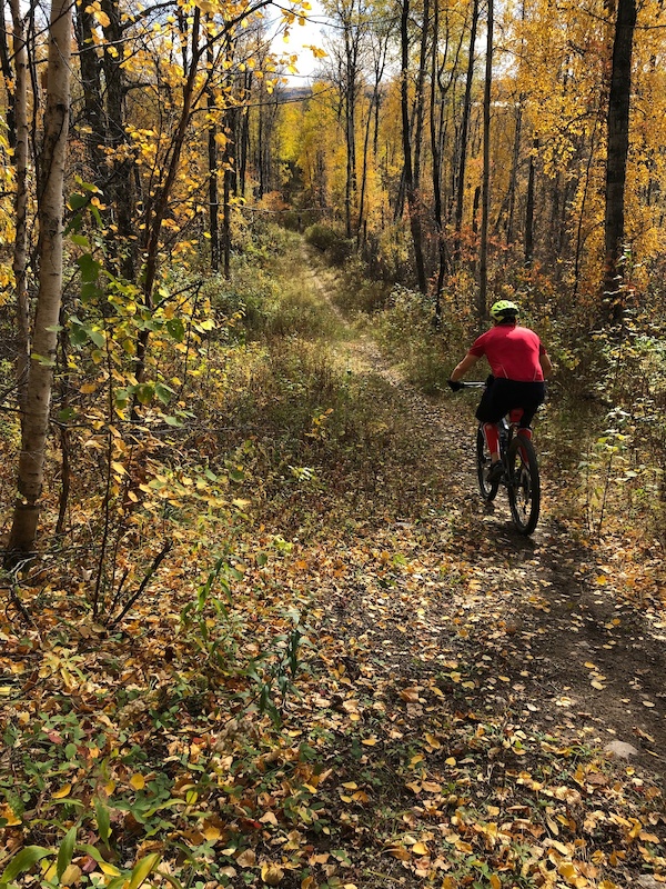 Anglin Lake Recreation Area Mountain Biking Trails | Trailforks