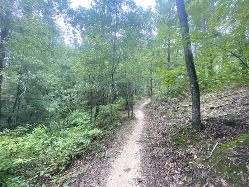 Deep Step Multi Trail - Clarks Hills, South Carolina