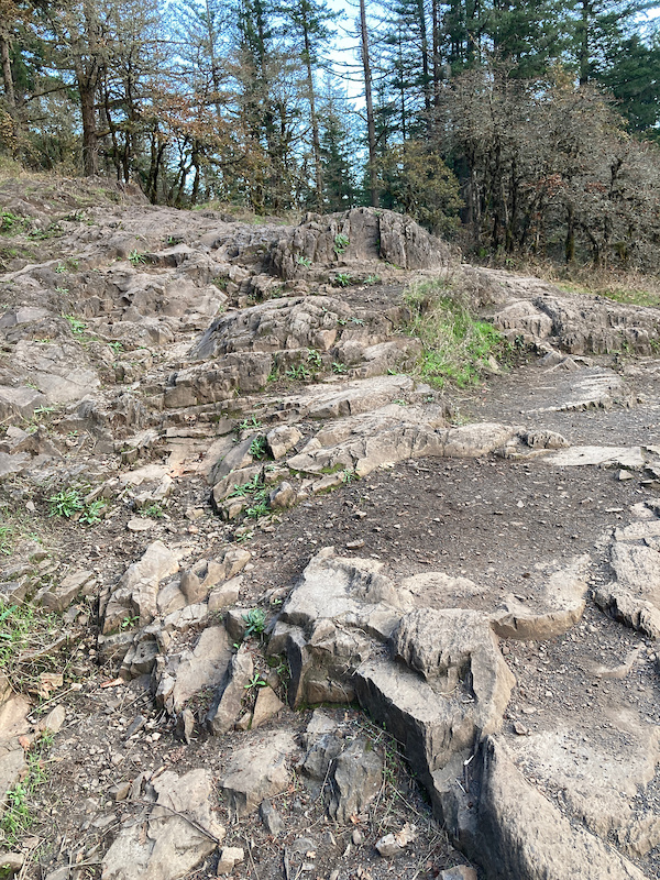 Main Access Road Mountain Biking Trail - Camas, WA