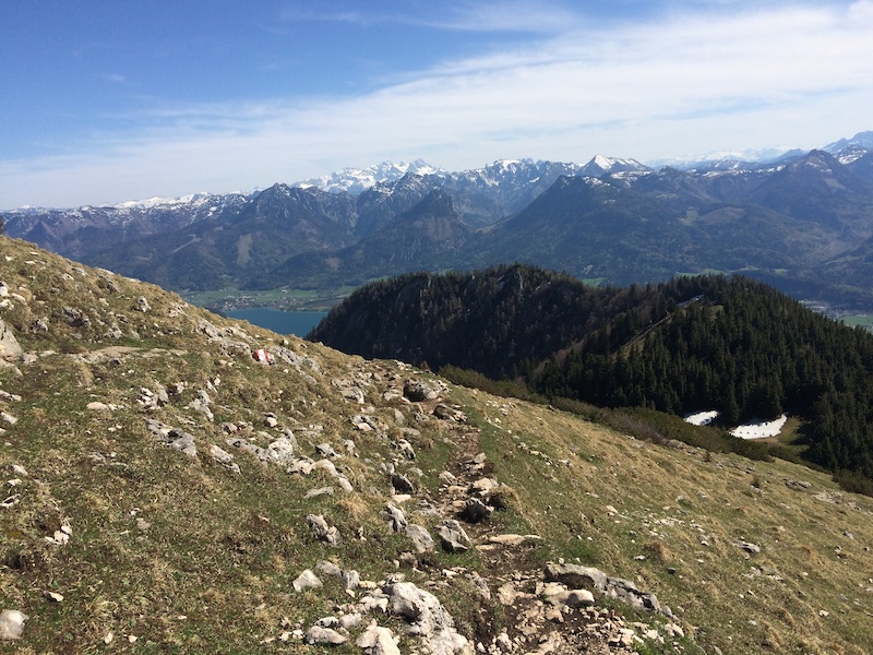 Schafbergweg 20er Hiking Trail - | Trailforks