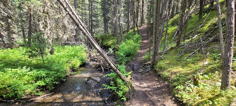 Special K Mountain Biking Trail - Bragg Creek, Alberta