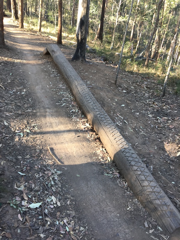 Lace Monitor Mountain Biking Trail - Brisbane
