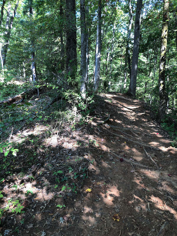 Shoestring Mountain Biking Trail - Quantico, Virginia