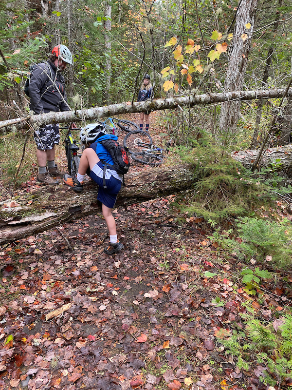 east-trail-mountain-biking-trail-bangor-maine