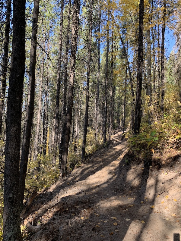 Elk Valley Trail (The Great Trail)- Sparwood to Hosmer Mountain Biking ...