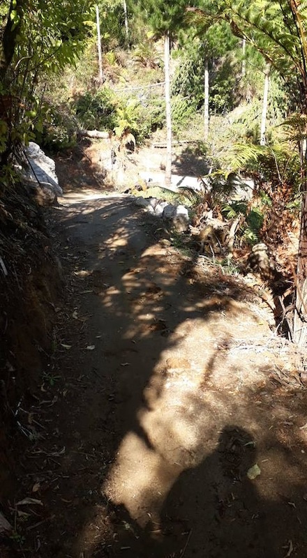 Forest Loop, Tūhua (Part 1) Mountain Biking Trail - Rotorua