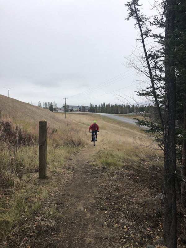 The Road Runner Mountain Biking Trail - Whitehorse, Yukon