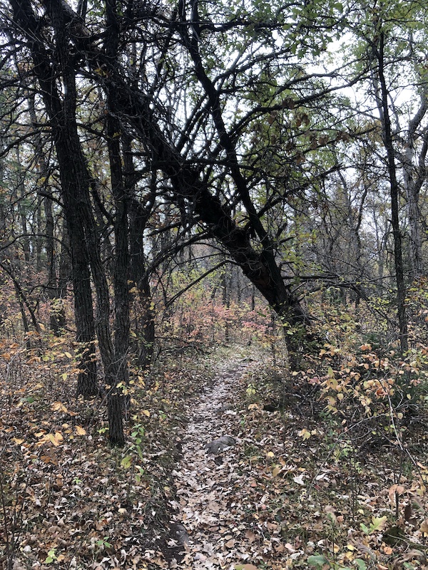 Hazelnut Trail (Summer) Snoman 781 (Winter) Multi Trail - Winnipeg