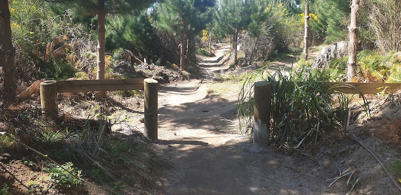 Forest Loop - Arepa Weherua Mountain Biking Trail - Rotorua