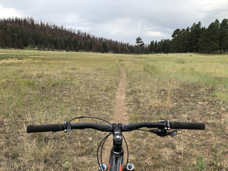Dry Lakes Overlook Multi Trail - Flagstaff, Arizona