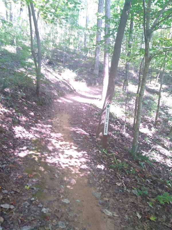 Regular Green Loop Mountain Biking Route | Trailforks