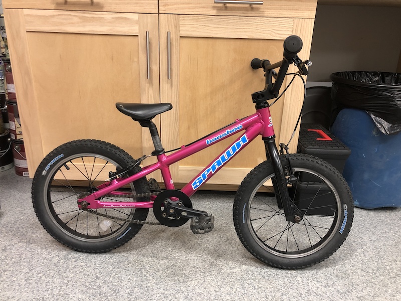 2017 Spawn Banshee For Sale