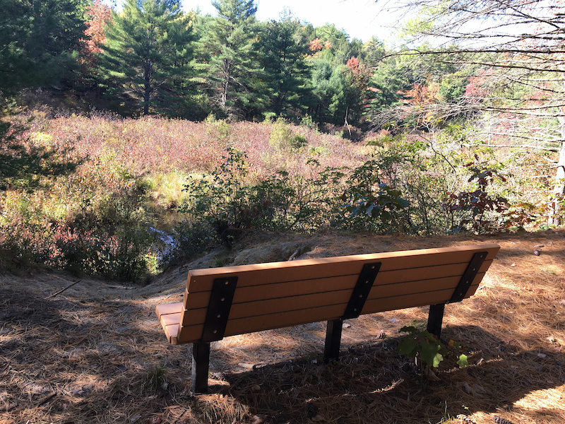 Friends Trail Multi Trail - Townsend, Massachusetts