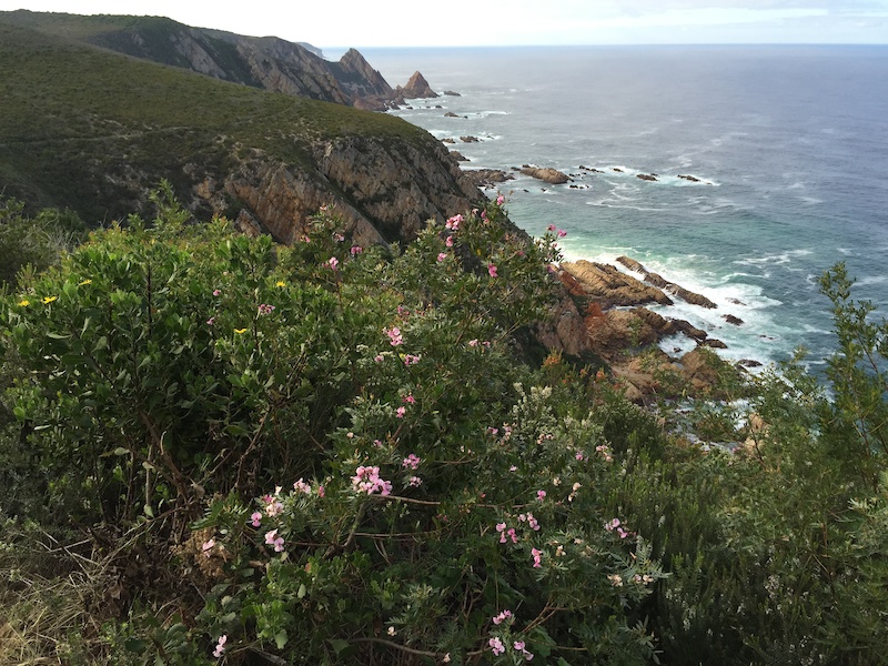 Harkerville Red Route Mountain Biking Route | Trailforks