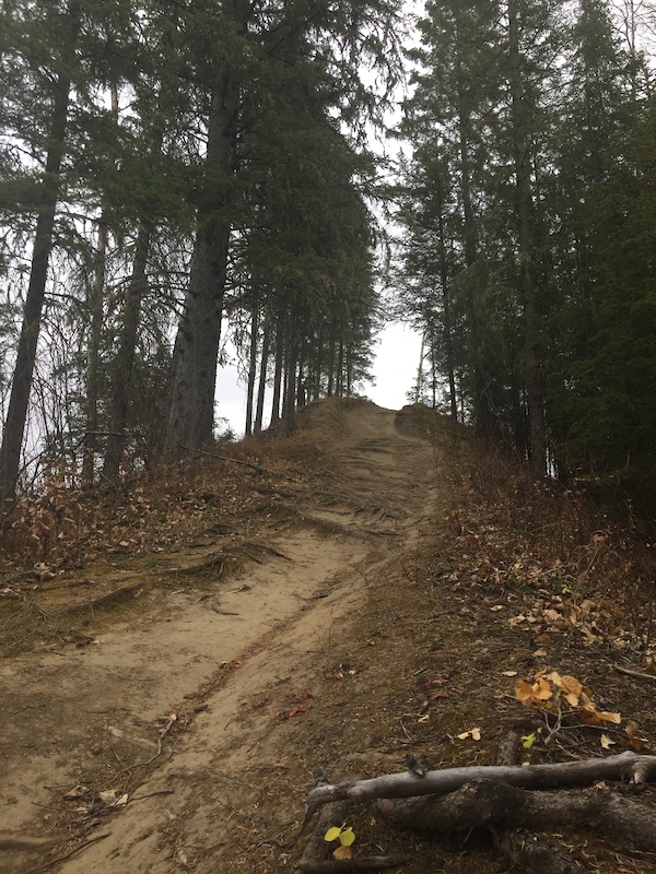Hogsback Mountain Biking Trail - Whitecourt, AB