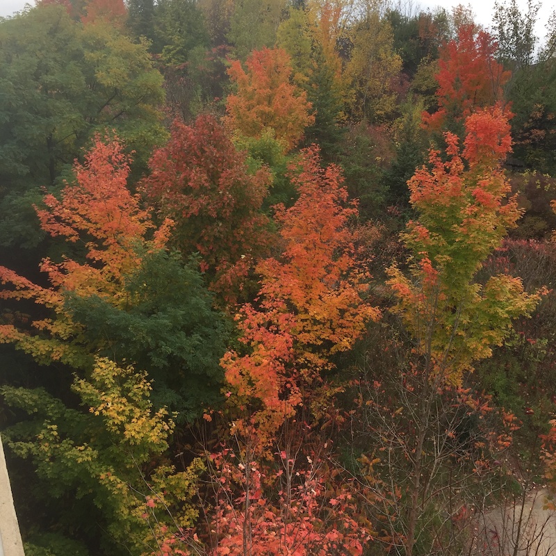 Gravel Grinder Mountain Biking Trail - Halton Hills
