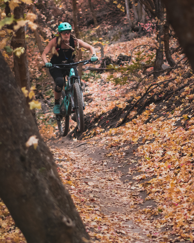 Up Canyon Hollow Down Ghost Falls and Rattler Loop Mountain Biking ...